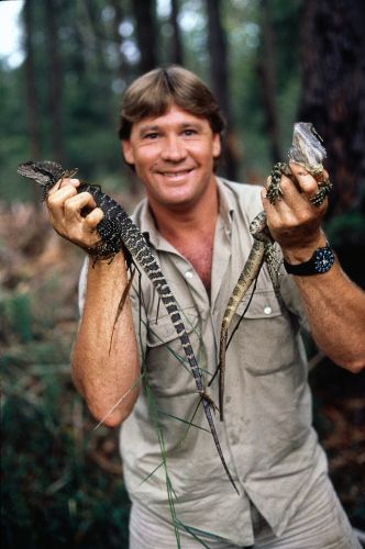 Steve Irwin | Biography, Movie Highlights and Photos | AllMovie