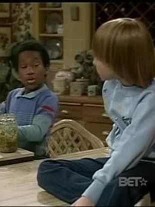 Diff Rent Strokes Sam S Big Brother 1986 Mel Ferber Synopsis