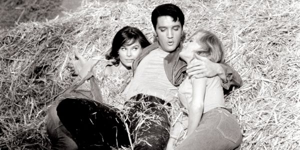 Kissin Cousins 1964 Gene Nelson Releases Allmovie