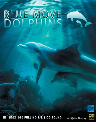 Blue Move: Dolphins (2010) - | Synopsis, Characteristics, Moods, Themes ...