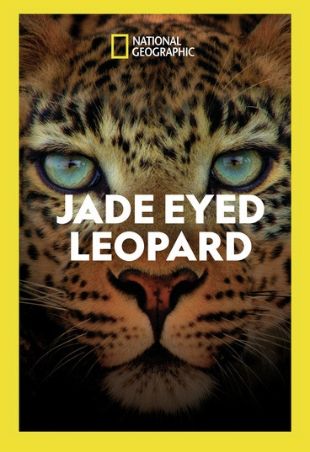 National Geographic: Jade Eyed Leopard (2021) - | User Reviews | AllMovie