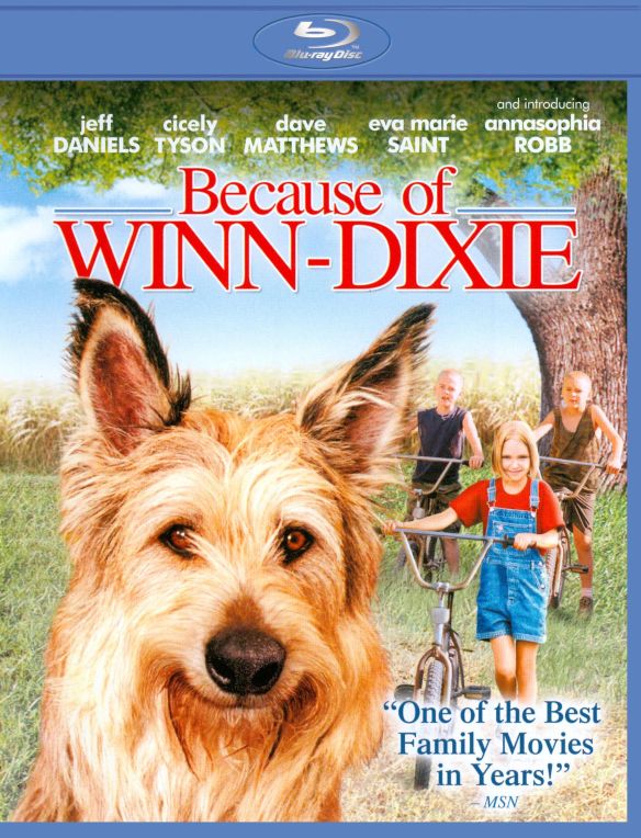 Because of Winn-Dixie (2005) - Wayne Wang | Synopsis, Characteristics ...