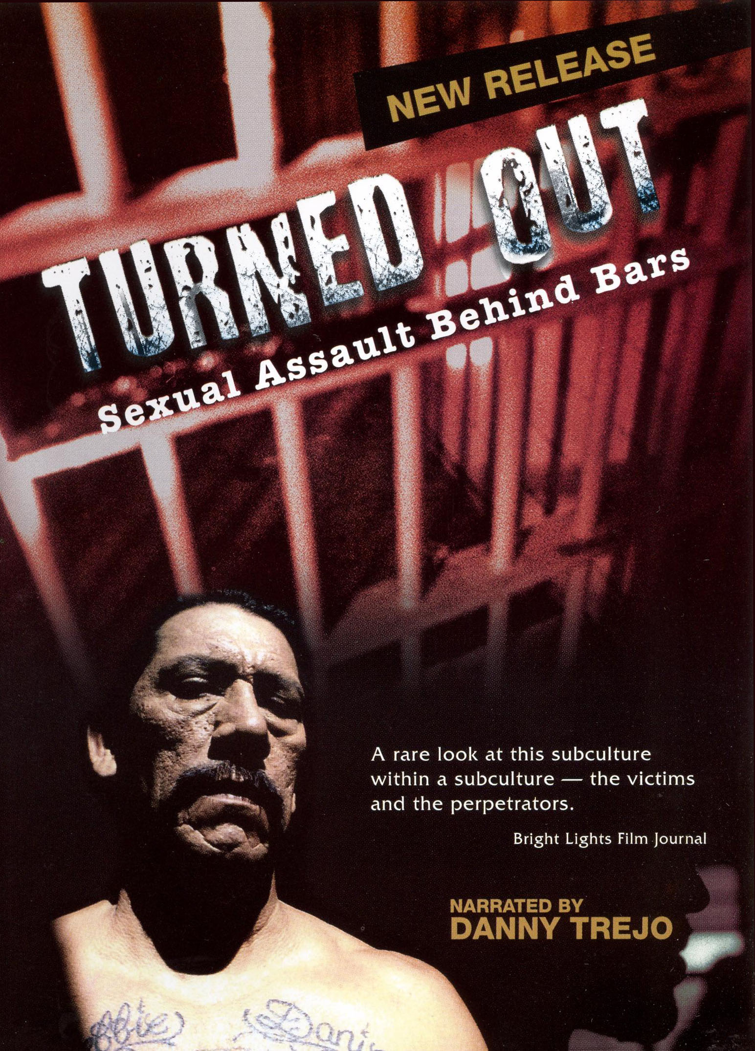 Turned Out Sexual Assault Behind Bars 2003 Jonathan Schwartz Synopsis Characteristics