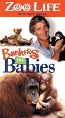 Zoo Life With Jack Hanna - Bonkers For Babies HD - turbabitsharp