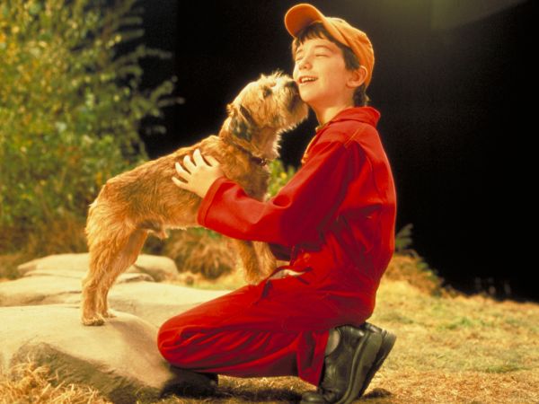 Good Boy! (2003) - John Hoffman | Synopsis, Characteristics, Moods ...