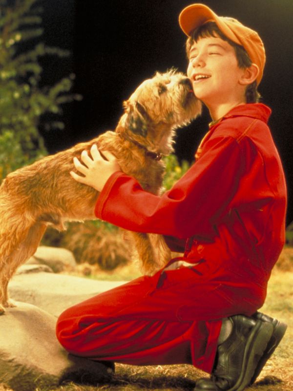 Good Boy! (2003) - John Hoffman | Synopsis, Characteristics, Moods ...