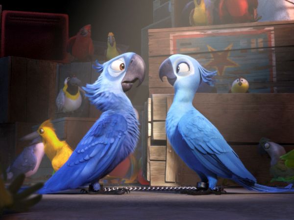 Rio (2011) - Carlos Saldanha | Cast and Crew | AllMovie