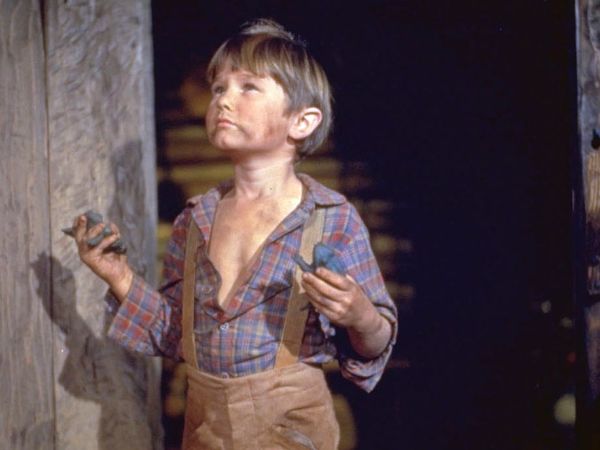 Old Yeller Little Arliss