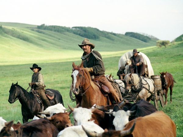 Open Range (2003) - Kevin Costner | Synopsis, Characteristics, Moods ...