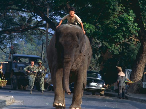 Operation Dumbo Drop (1995) - Simon Wincer | Synopsis, Characteristics ...