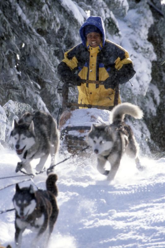 Snow Dogs (2002) - Brian Levant | Synopsis, Characteristics, Moods ...