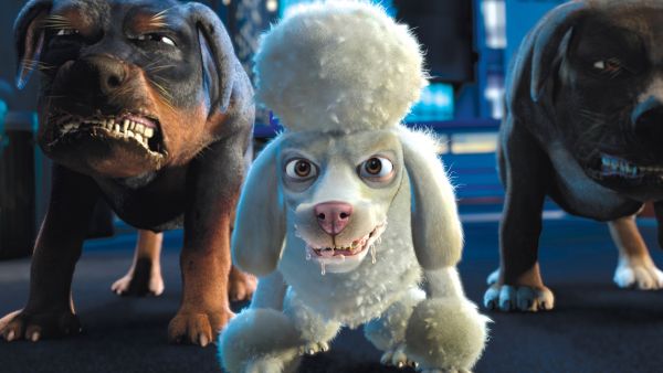 The Wild (2006) - Steve "Spaz" Williams | Cast and Crew | AllMovie