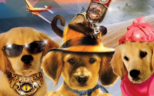 Treasure Buddies 2012 Robert Vince Synopsis Characteristics treasure-buddies-2012-robert-vince-synopsis-characteristics