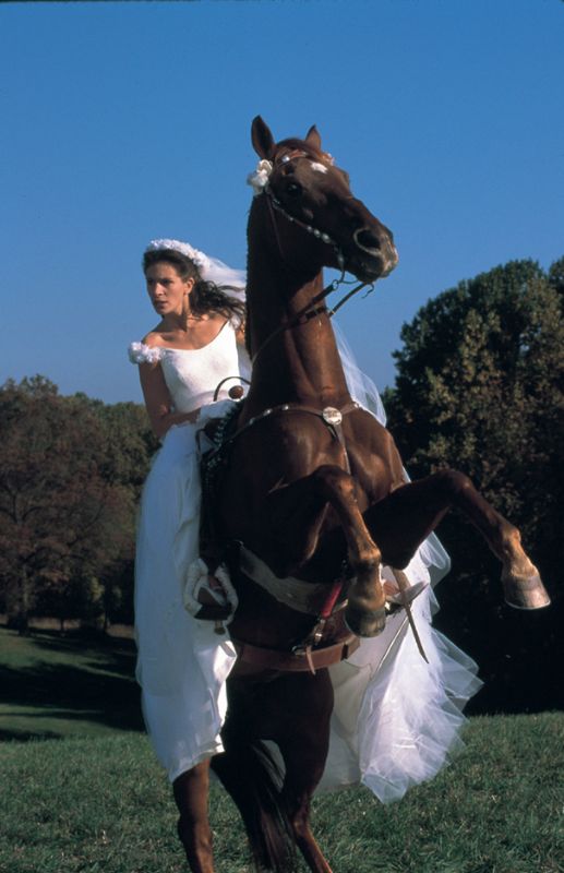 Runaway Bride (1999) - Garry Marshall | Synopsis, Characteristics ...