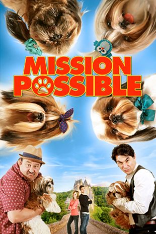 Mission Possible (2018) - Bret Roberts | Synopsis, Characteristics ...