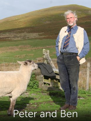 Peter and Ben (2007) - Pinny Grylls | User Reviews | AllMovie