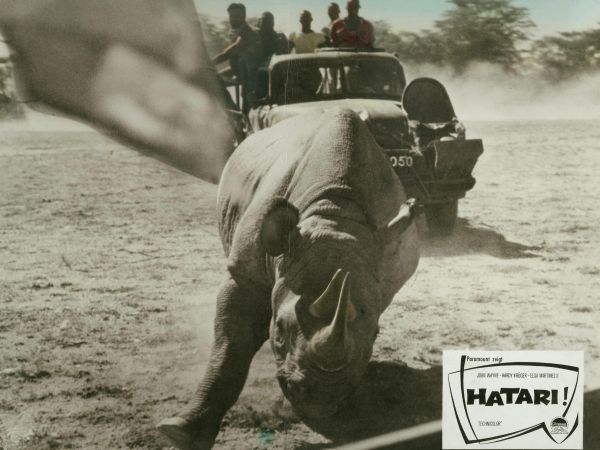 Hatari! (1962) - Howard Hawks | Synopsis, Characteristics, Moods ...
