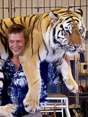 Circus Rosaire (2009) - Robyn Bliley | Synopsis, Characteristics, Moods ...