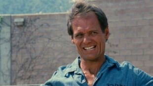 Hunter : Pen Pals (1984) - Larry Stewart | Cast and Crew | AllMovie
