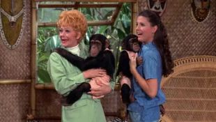 Here's Lucy : Lucy in the Jungle (1971) - Coby Ruskin | Synopsis ...