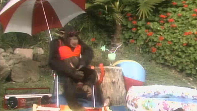 Kidsongs: A Day with the Animals (1986) - | Synopsis, Characteristics ... Kidsongs: A Day with the Animals (1986) - | Synopsis, Characteristics ...