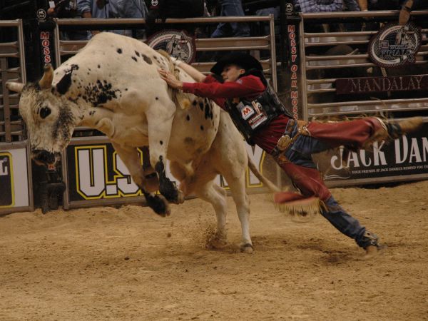 Bullrider (2005) - Josh Aronson | Synopsis, Characteristics, Moods ...