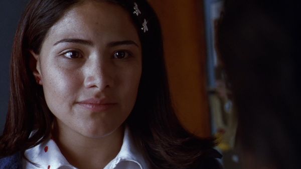 Amores Perros (2000) - Alejandro González Iñárritu | Synopsis ...