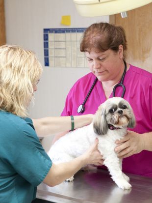 The Incredible Dr. Pol (2011) - Ted Duvall | Cast and Crew | AllMovie