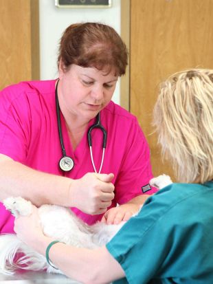 The Incredible Dr. Pol : Polnado Warning (2012) - James M. Felter, Ted ...