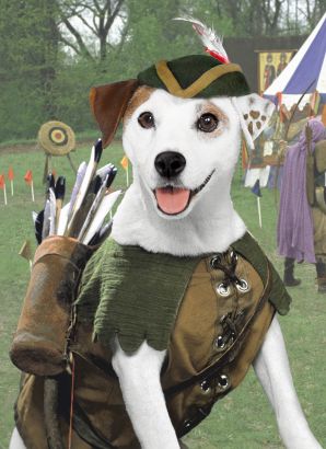 Wishbone [TV Series] (1995) - | Synopsis, Characteristics, Moods ...