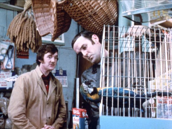 And Now for Something Completely Different (1971) - Terry Gilliam,Ian ...