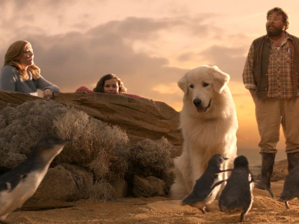 Oddball (2015) - Stuart McDonald | Cast and Crew | AllMovie