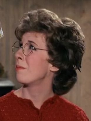 Petticoat Junction : My Daughter the Secretary (1966) - Guy Scarpitta ...