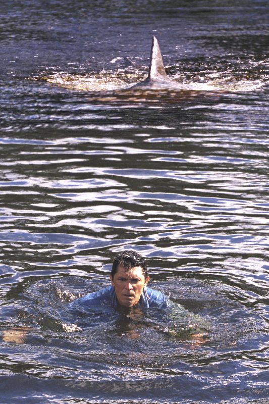 Red Water (2003) - Charles Robert Carner | Synopsis, Characteristics ...