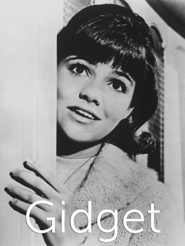 Gidget (1965) - | Synopsis, Characteristics, Moods, Themes and Related ...