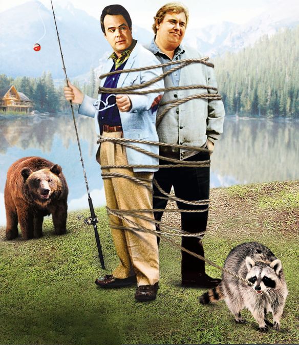 The Great Outdoors (1988) - Howard Deutch | Synopsis, Characteristics ...