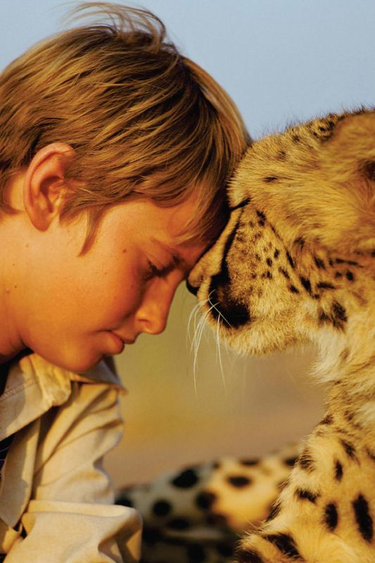 Duma (2005) - Carroll Ballard | Synopsis, Characteristics, Moods ...