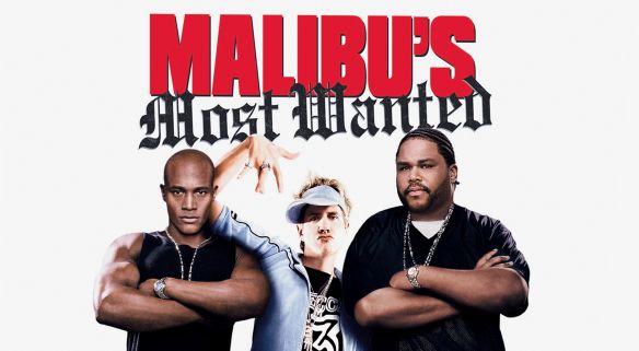 Malibu's Most Wanted (2003) - John Whitesell | Synopsis ...